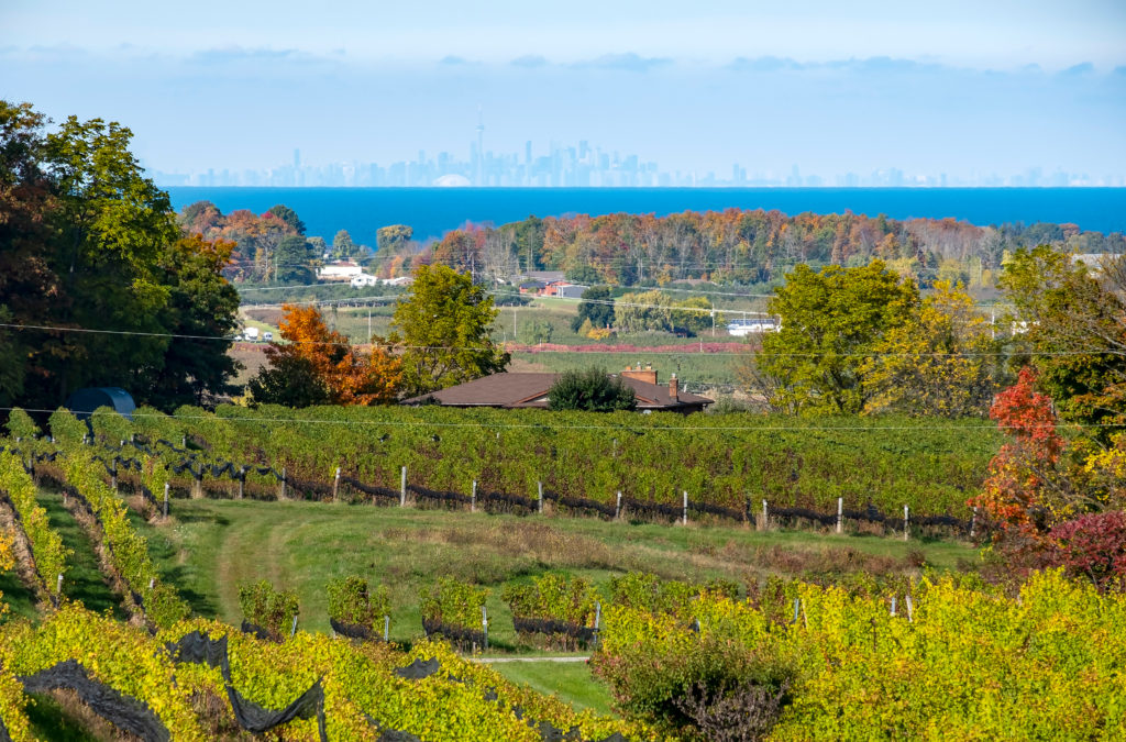 A First Timer’s Guide to the Niagara Region – White Oaks Resort Blog